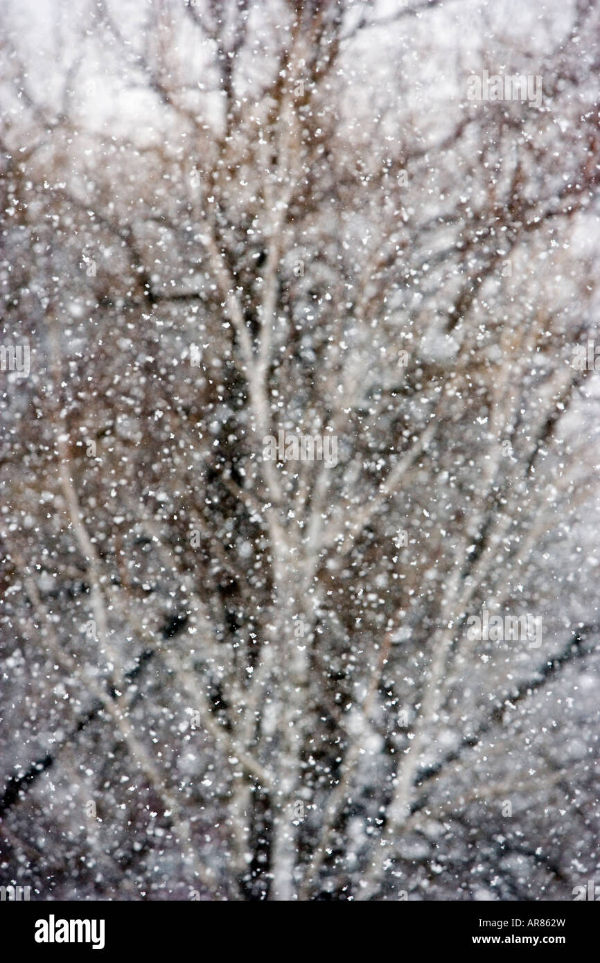 Seasonal weather heavy snow hi-res stock photography and images - Alamy