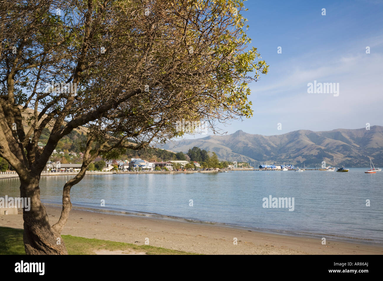 French bay beach, new zealand hi-res stock photography and images - Alamy