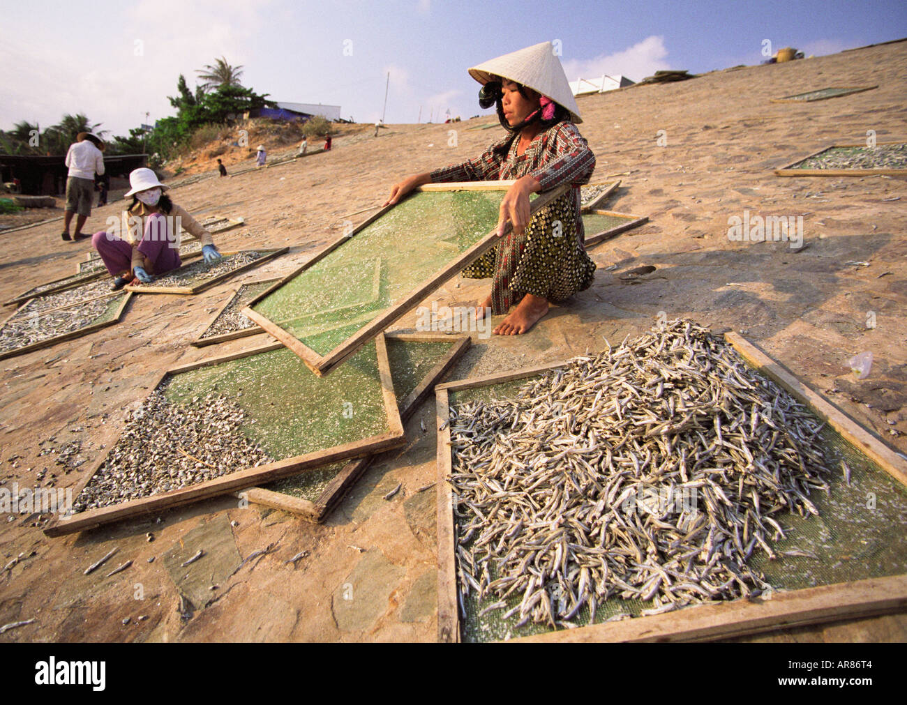 Sorting racks hi-res stock photography and images - Alamy
