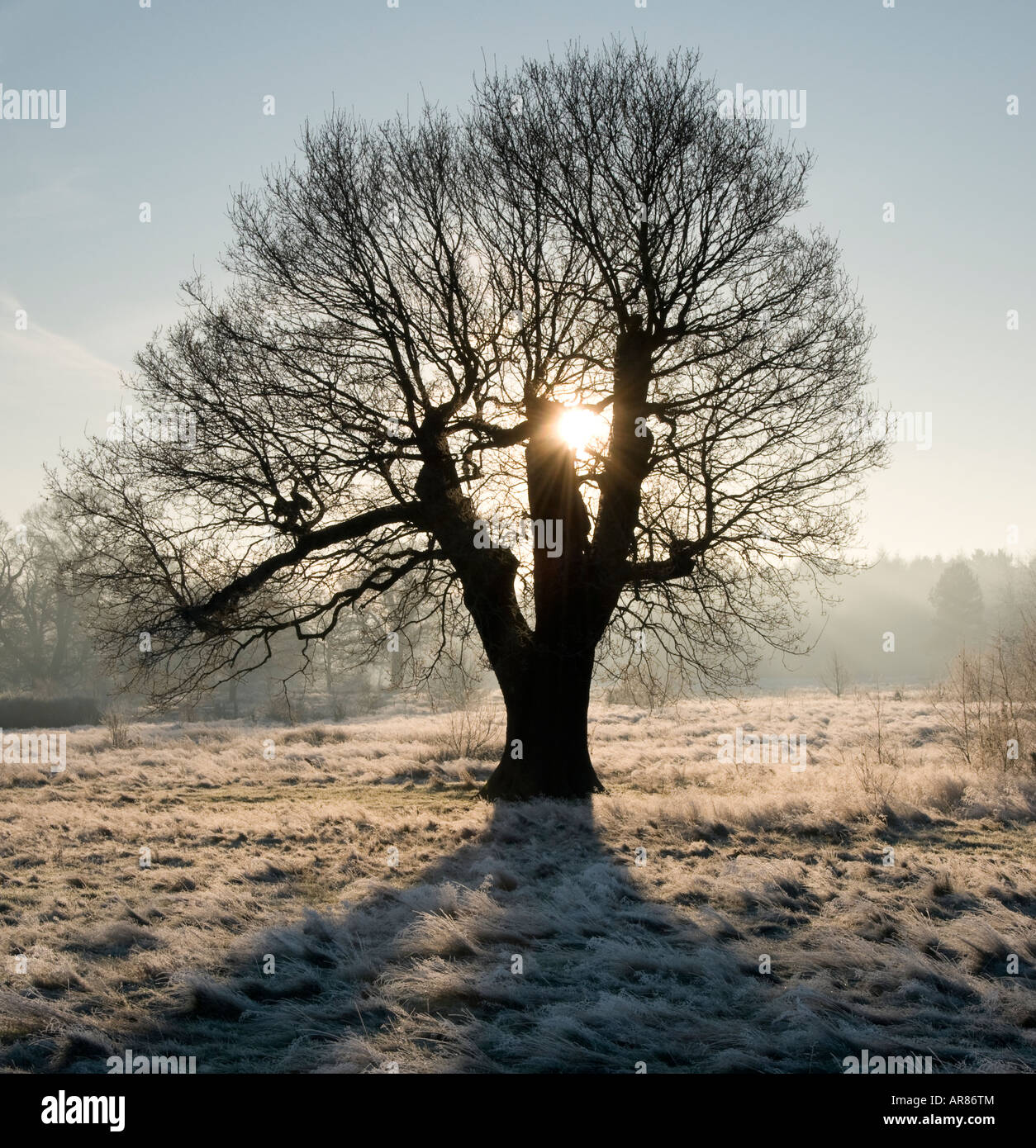 Crisp frosty morning hi-res stock photography and images - Alamy