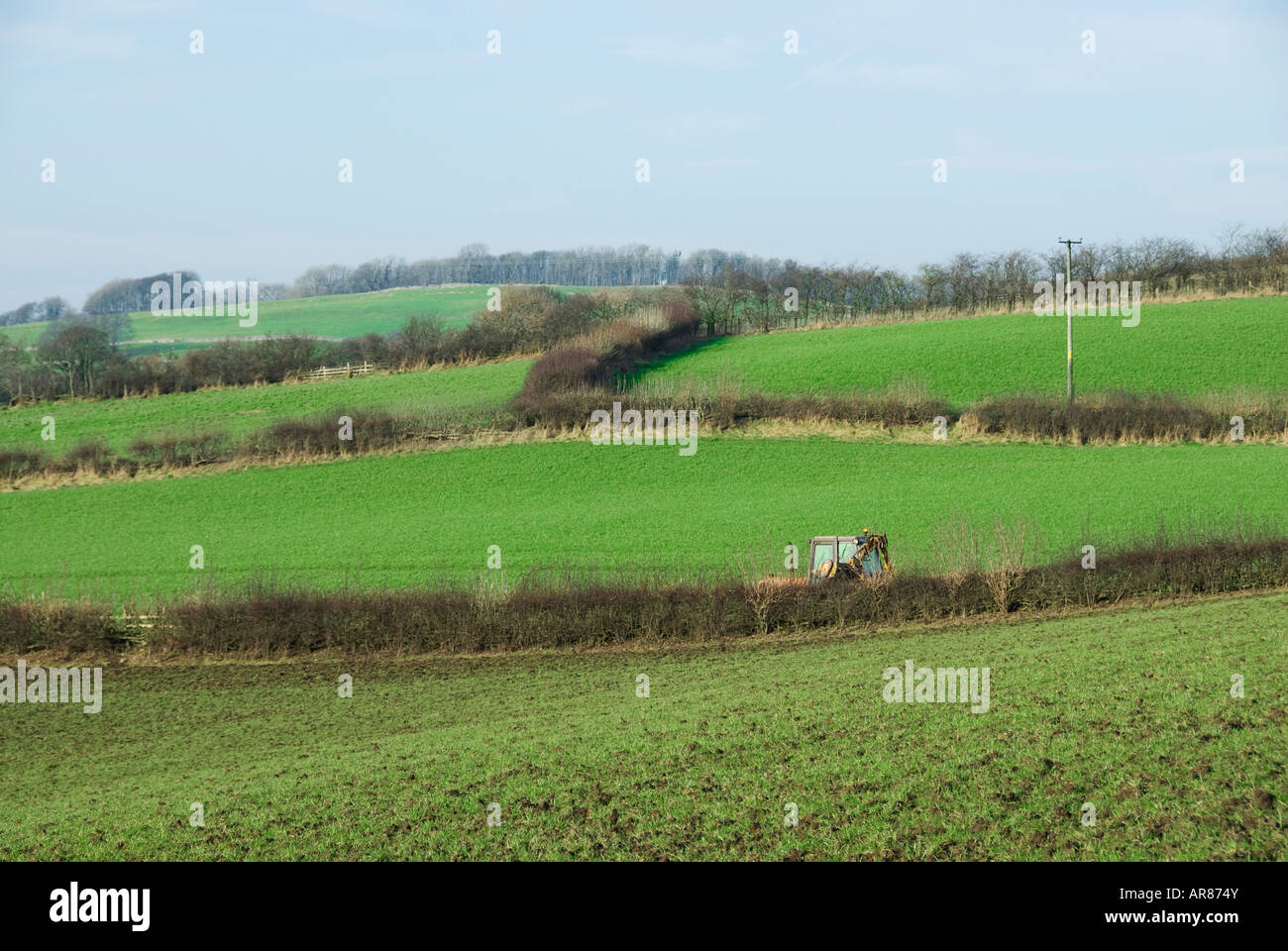 Hedge cutting farm hi-res stock photography and images - Alamy