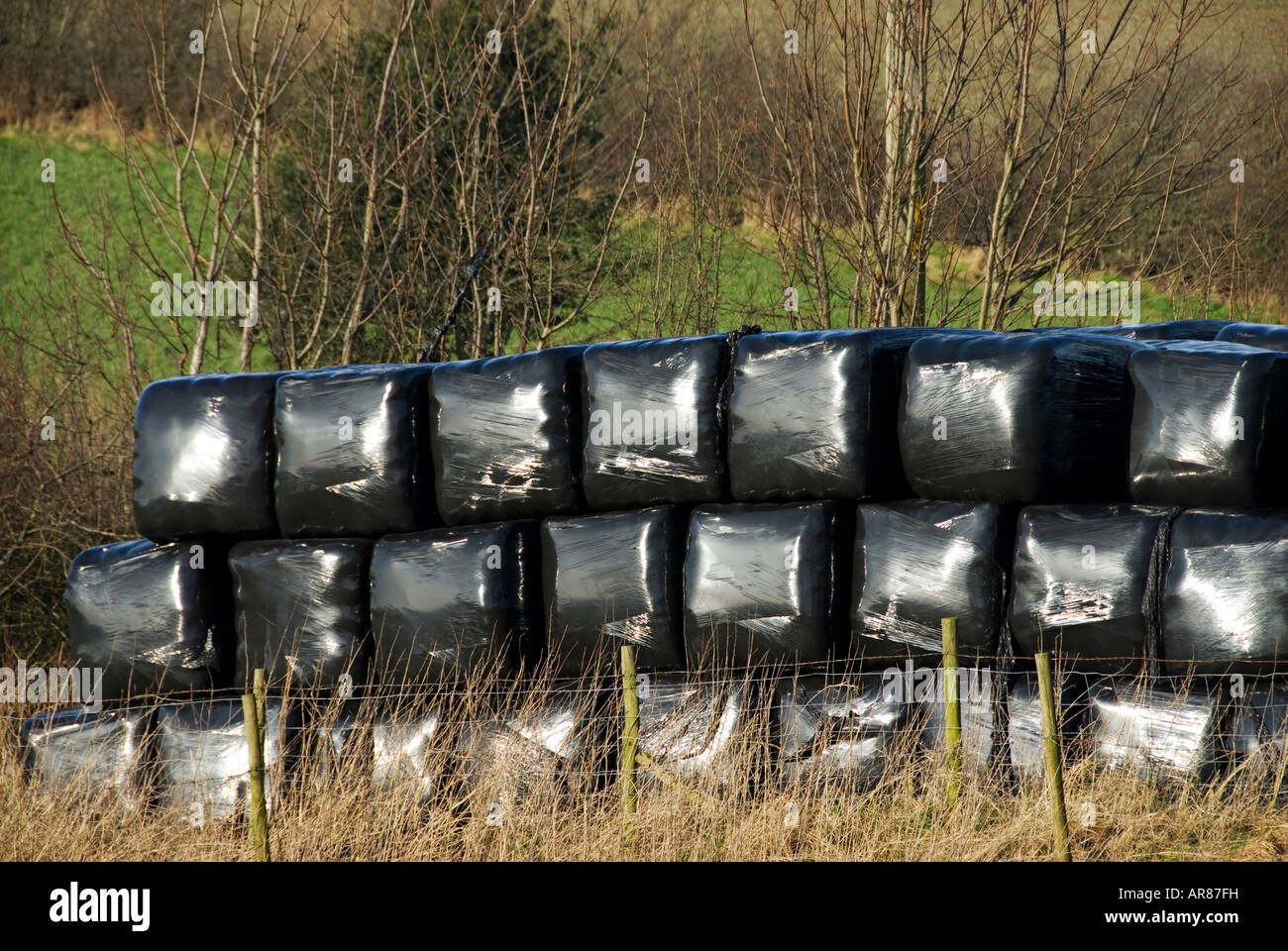 plastic wrapped silage bales Stock Photo - Alamy
