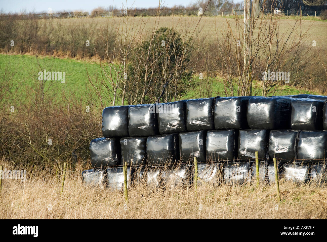 plastic wrapped silage bales Stock Photo - Alamy