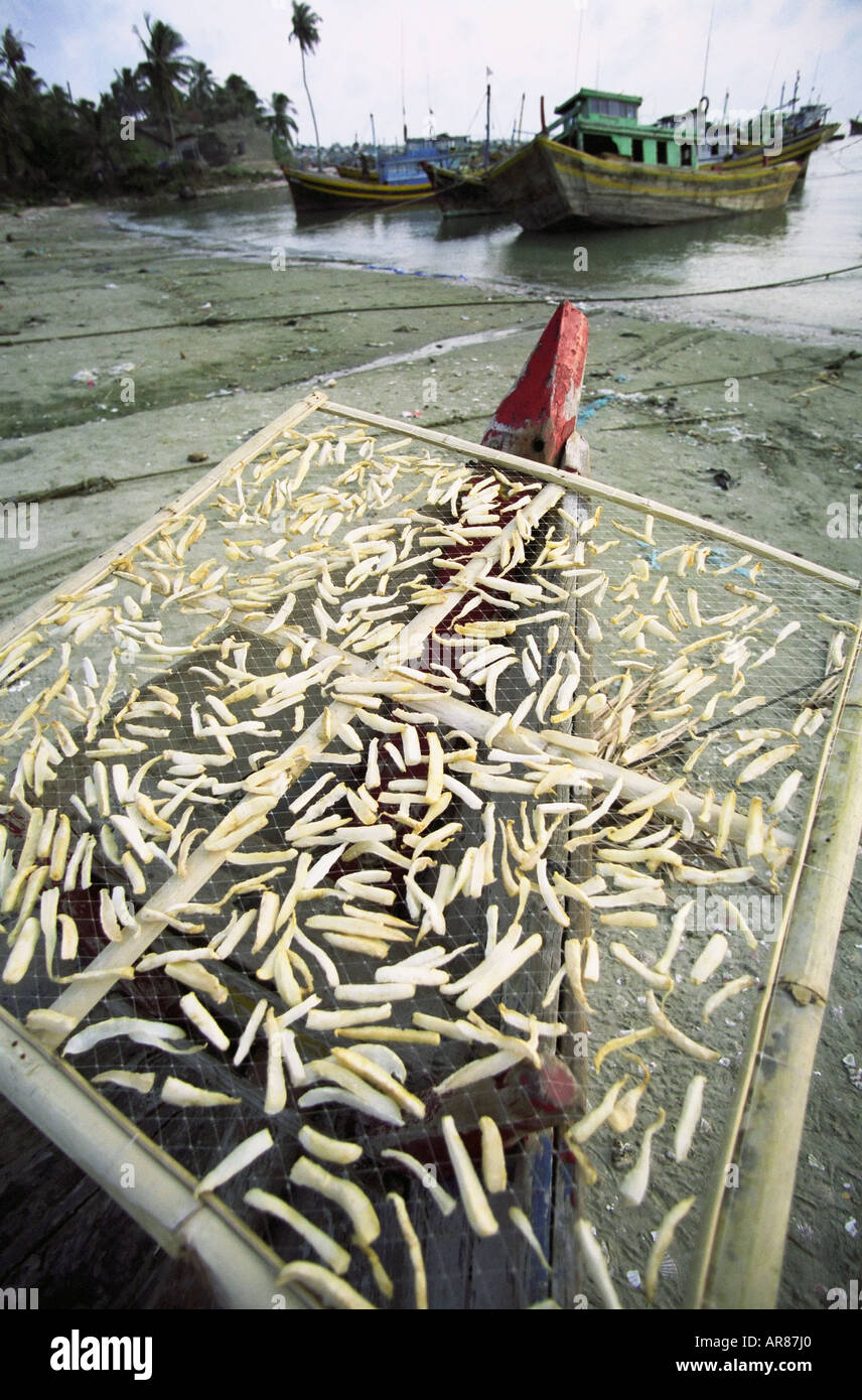 East asian edible food edible water hi-res stock photography and images ...