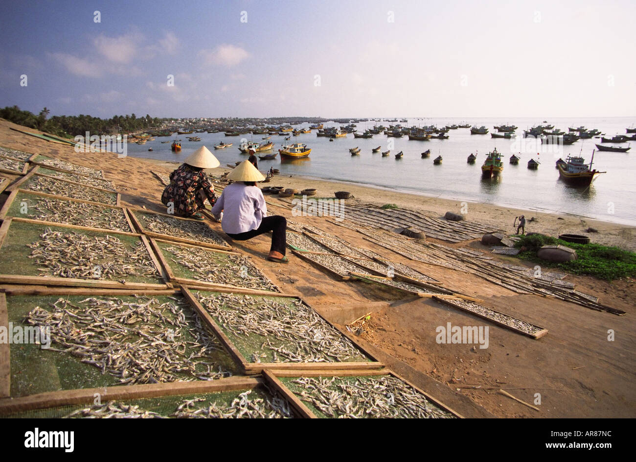 Mui Ne, Two Women Drying Fish Stock Photo - Alamy