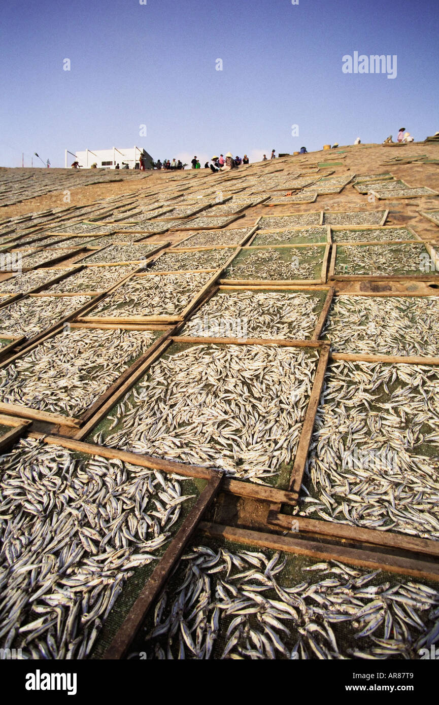 Racks Of Fish Drying In The Sun, Mui Ne Stock Photo - Alamy