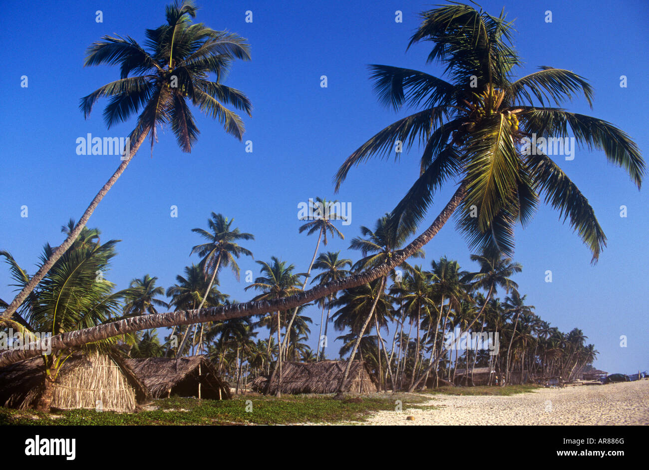 Colva Beach Goa India Stock Photo - Alamy