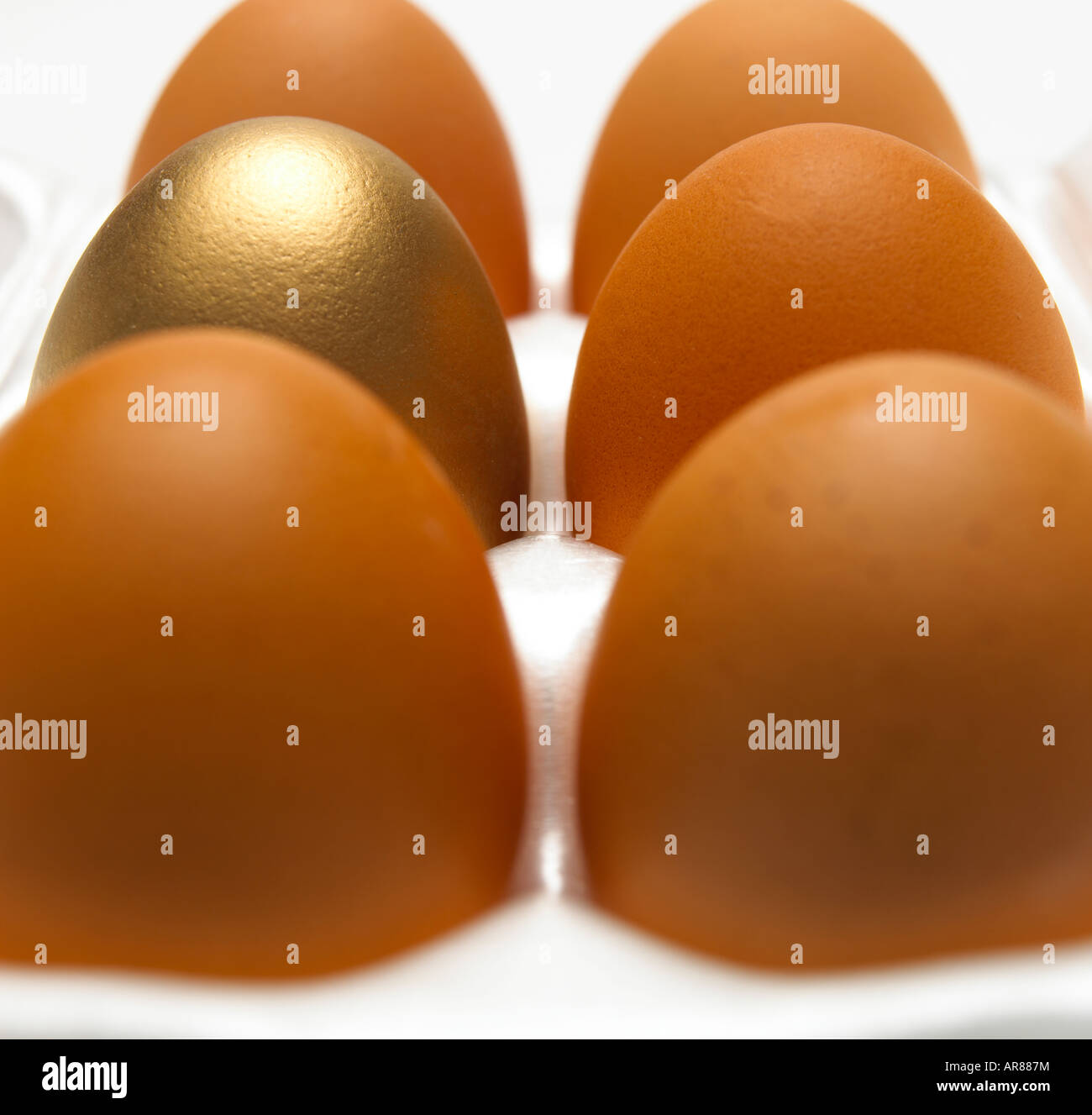 Five eggs in an egg box hi-res stock photography and images - Alamy