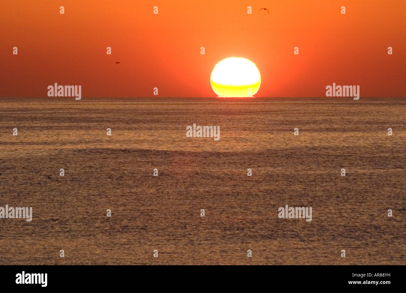 Waves drift toward shore as the sun rises over the Atlantic Ocean where ...