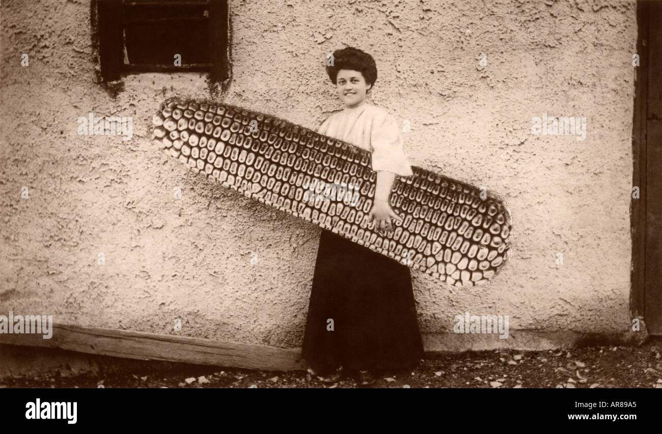 Vintage Photo of Lady Holding Up Huge Corn Cob Stock Photo - Alamy