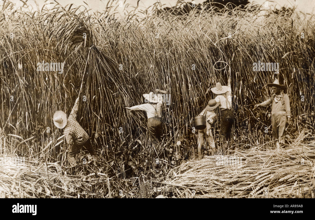 Vintage farming hi-res stock photography and images - Alamy