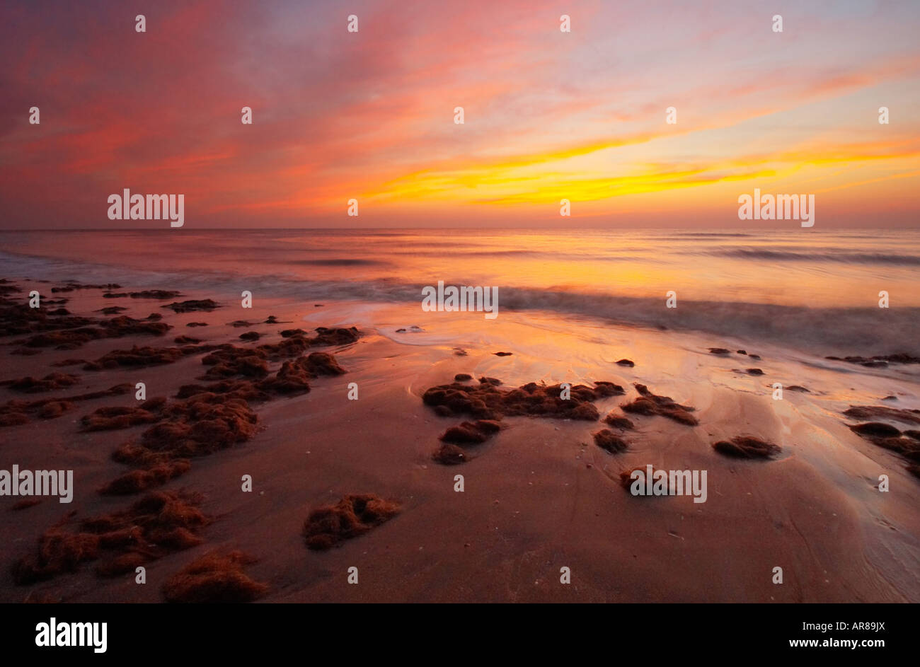 The beach at night Stock Photo - Alamy