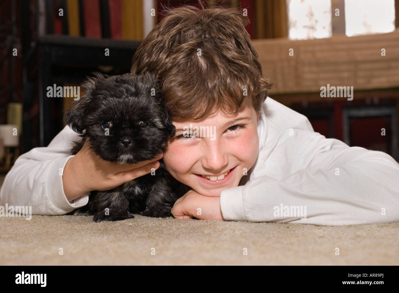 Boy with his pet dog Stock Photo - Alamy