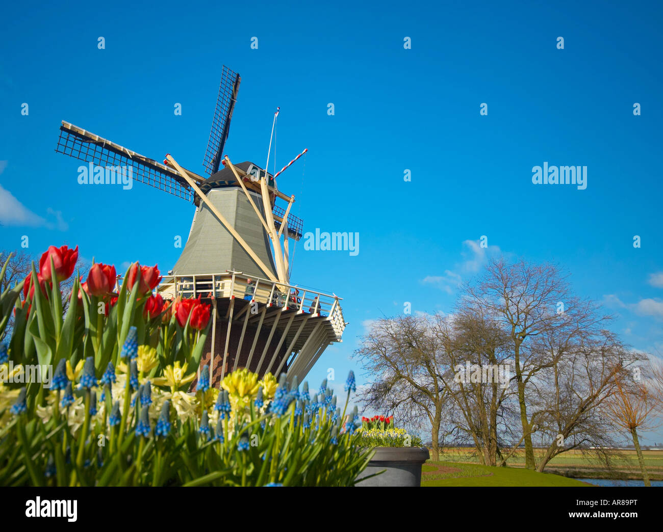 Floral windmill display hi-res stock photography and images - Alamy