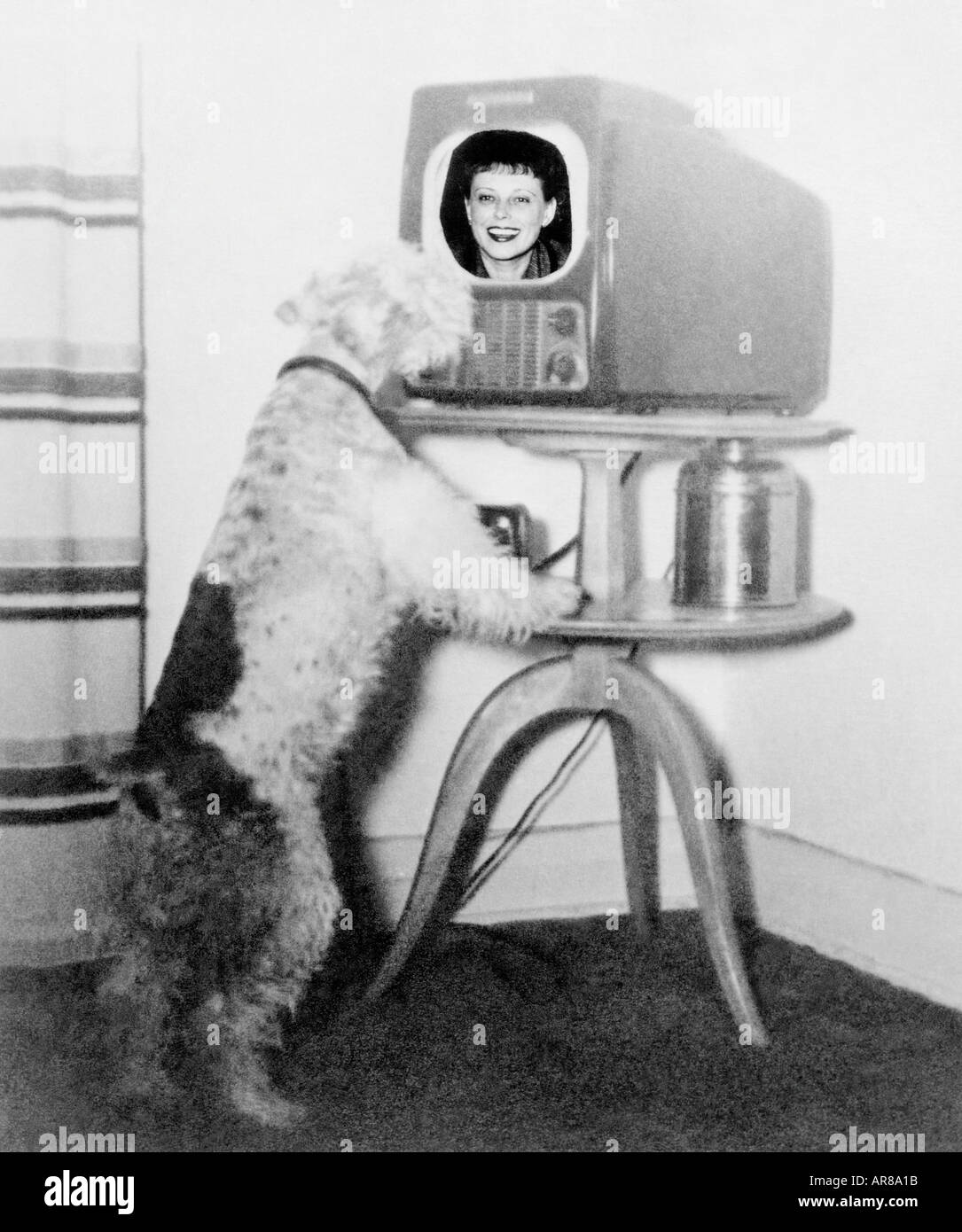 Old woman watching tv Black and White Stock Photos & Images - Alamy