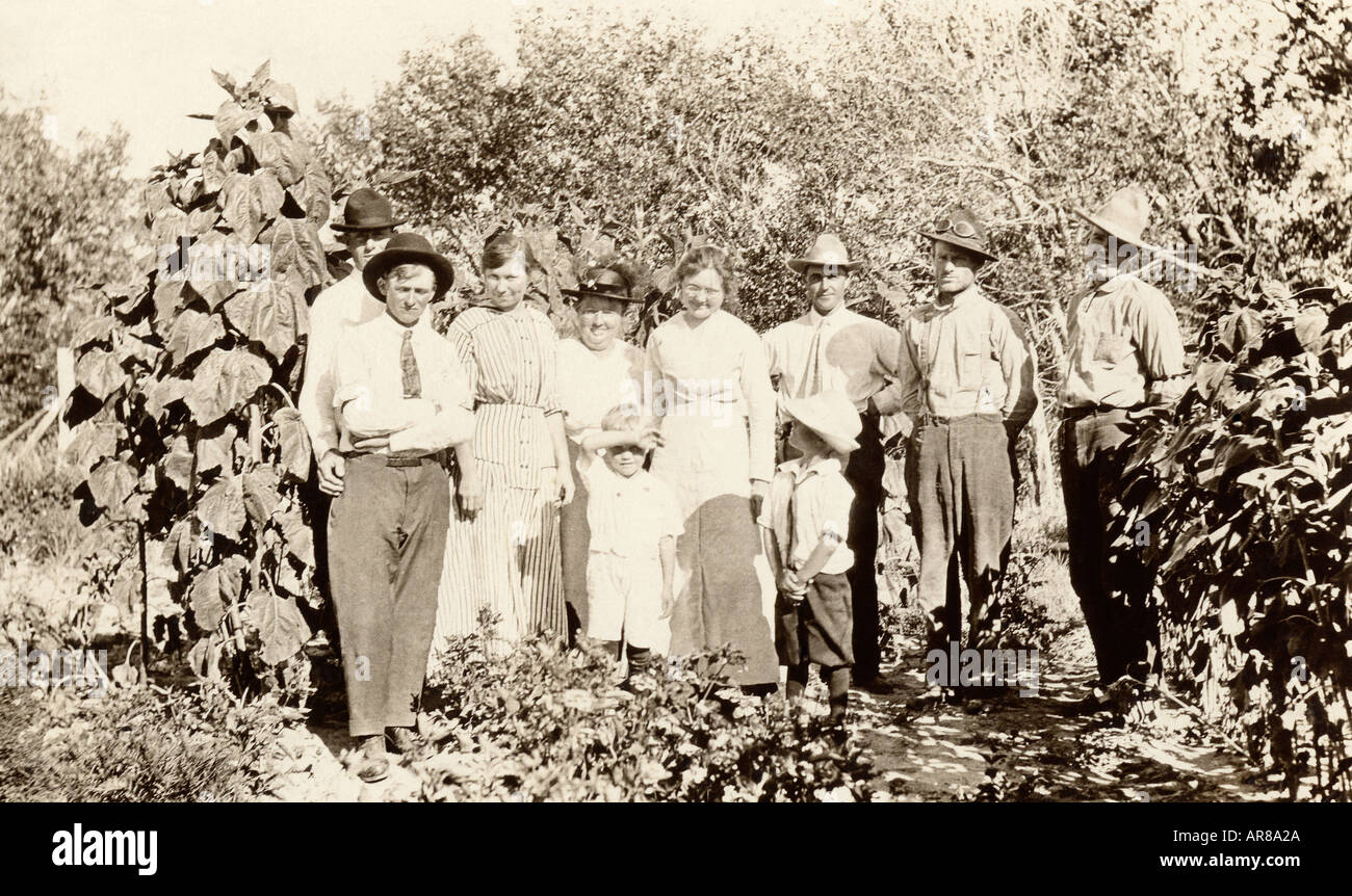 Early 20th century farmer hi-res stock photography and images - Alamy