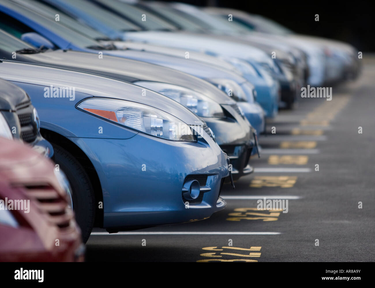 New cars on display on a lot Stock Photo - Alamy