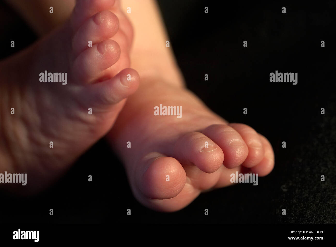 Baby feet up close showing the feet and toes Stock Photo - Alamy