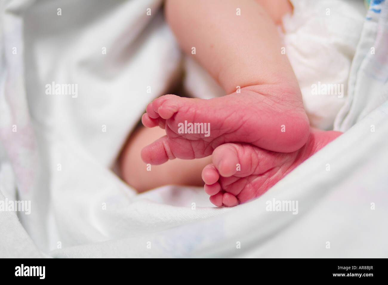 Newborn baby feet with pink toes on a blanket Stock Photo - Alamy