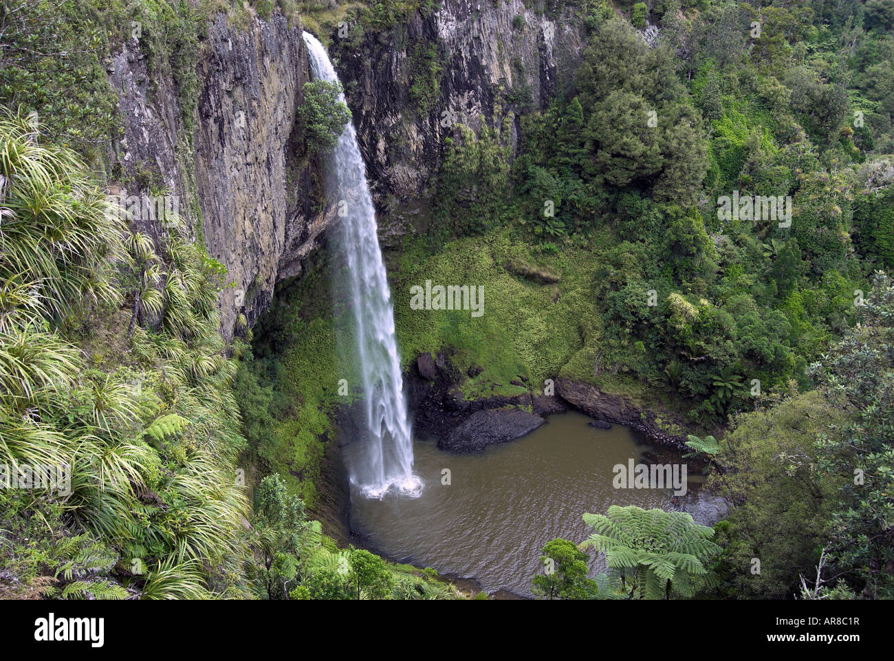 Bridal Veil Waterfall from the side, Raglan, New Zealand Stock Photo ...