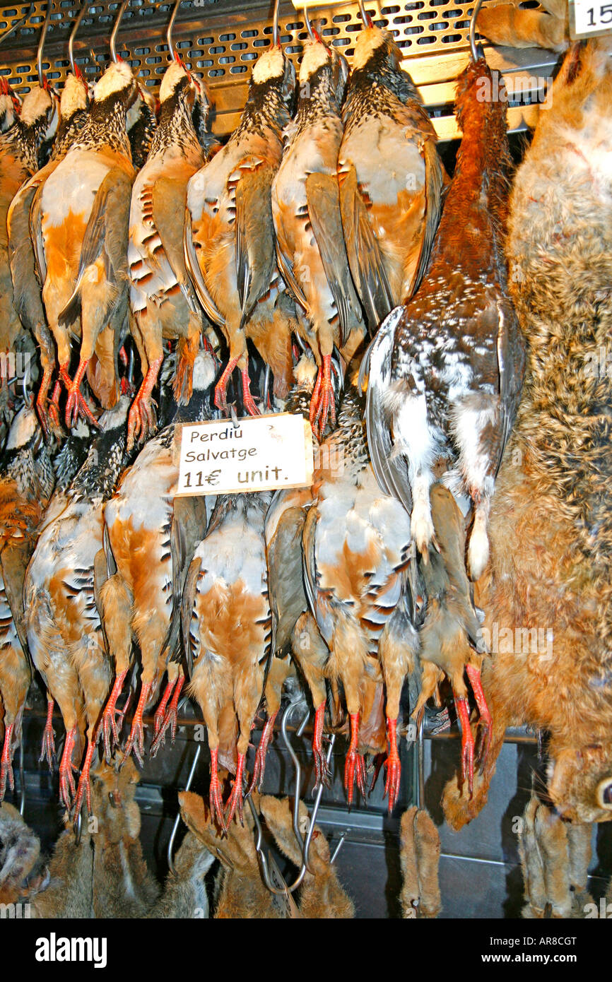 Small game hunting. La Boqueria Market. Barcelona Stock Photo - Alamy