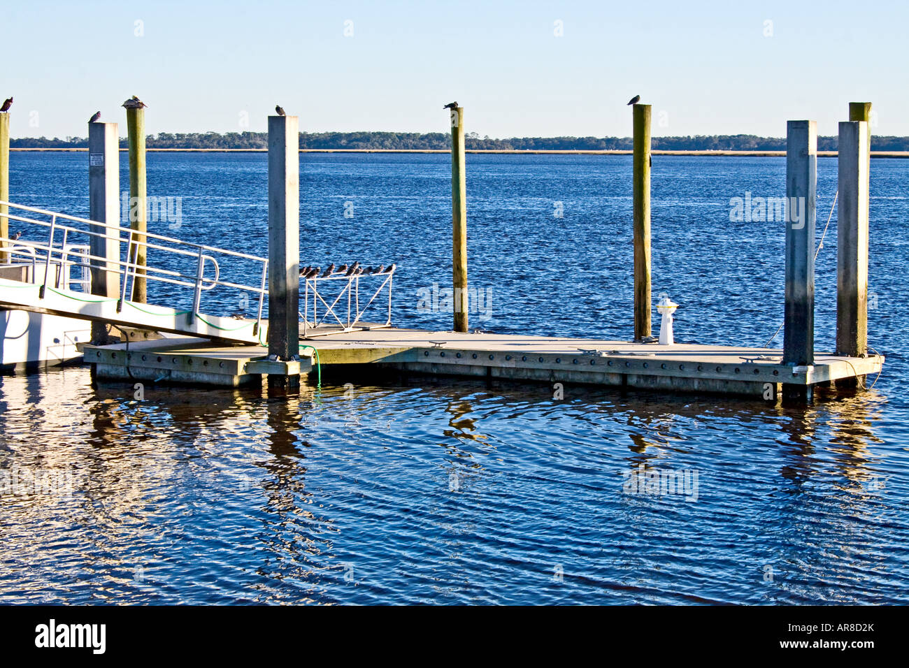 Birds on a dock by a calm harbour Stock Photo - Alamy