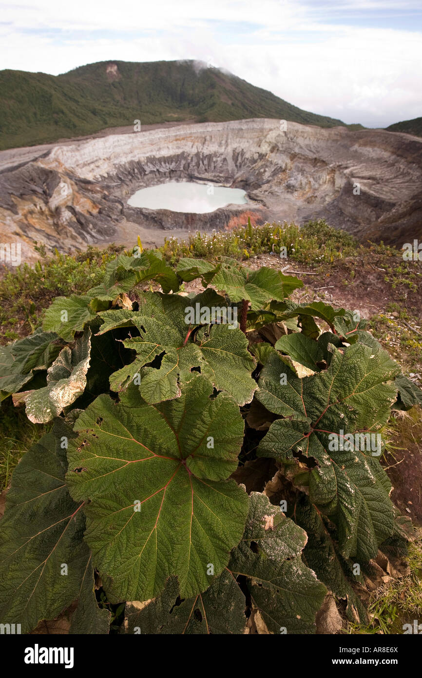 Volcanicparque hi-res stock photography and images - Alamy