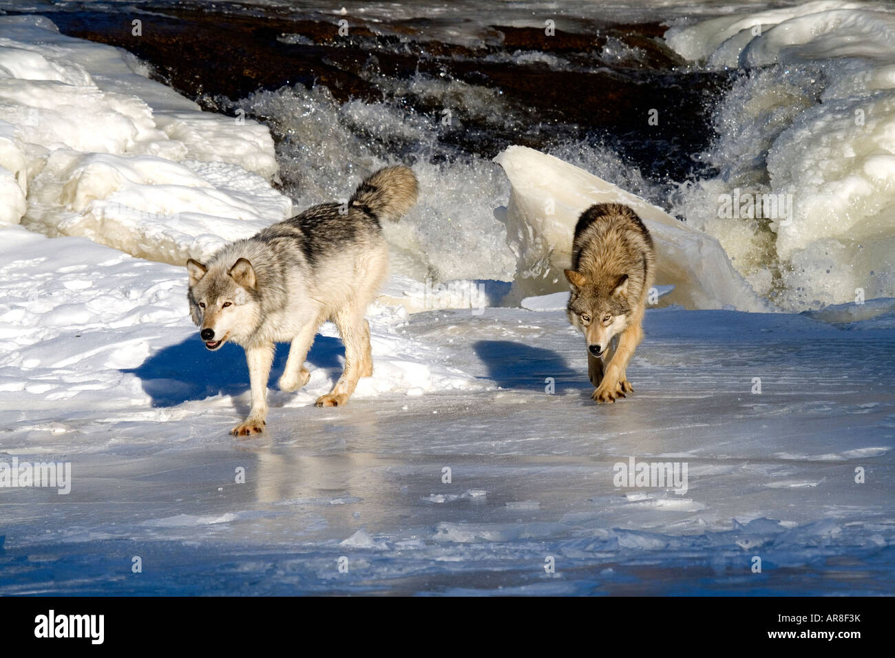 Northwoods waterfall hi-res stock photography and images - Alamy