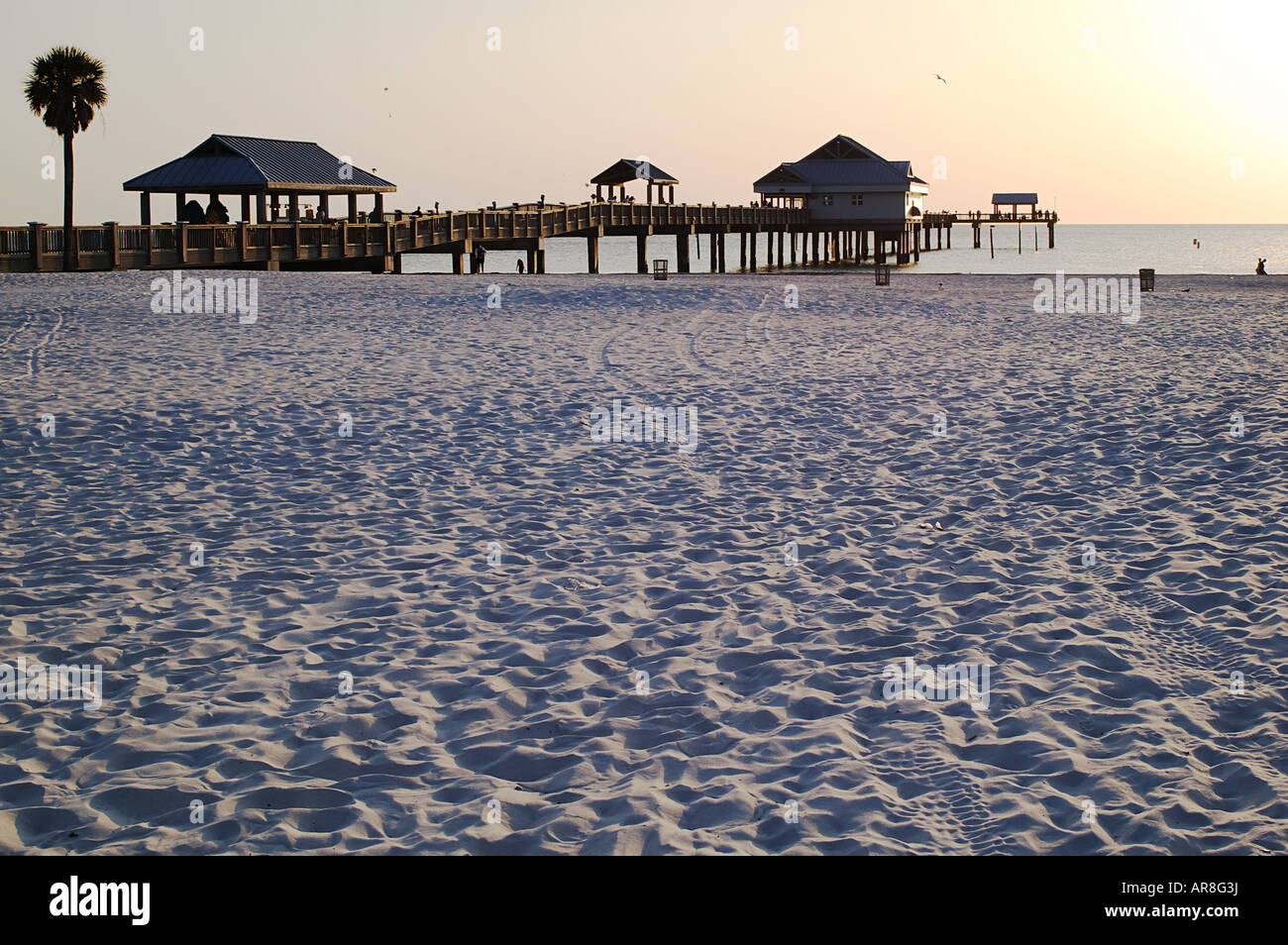 Tampa pier 60 hi-res stock photography and images - Alamy