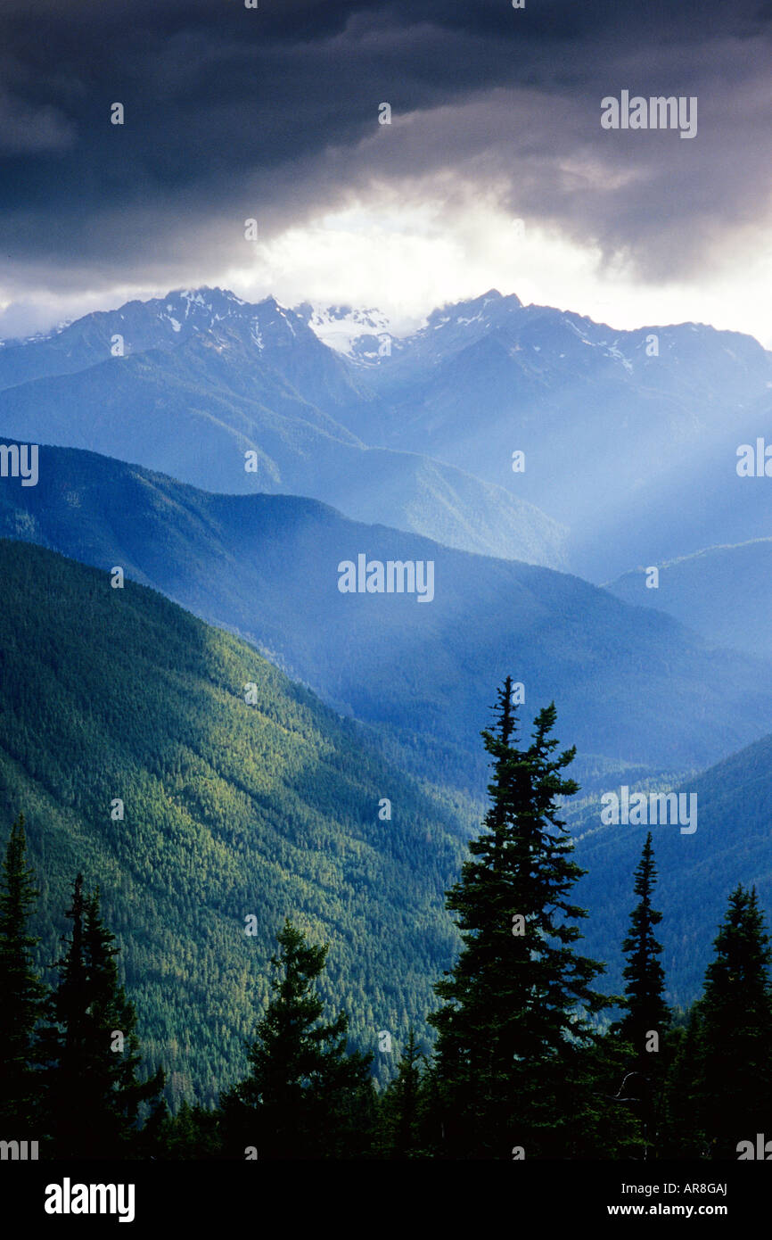 Hoh river valley hi-res stock photography and images - Alamy