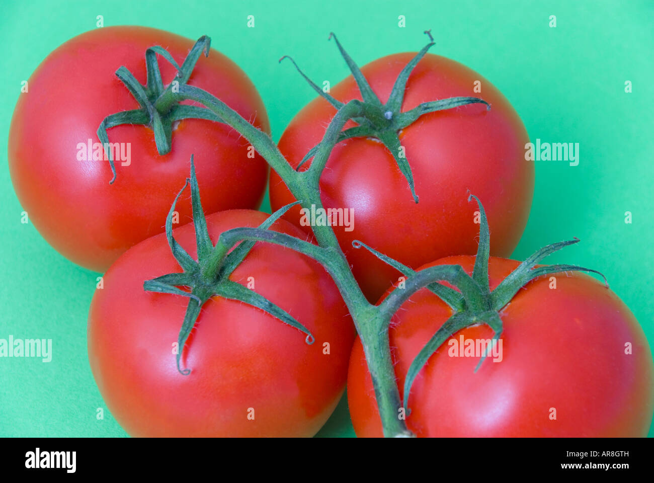 Ripe red truss tomatoes on green background Stock Photo - Alamy
