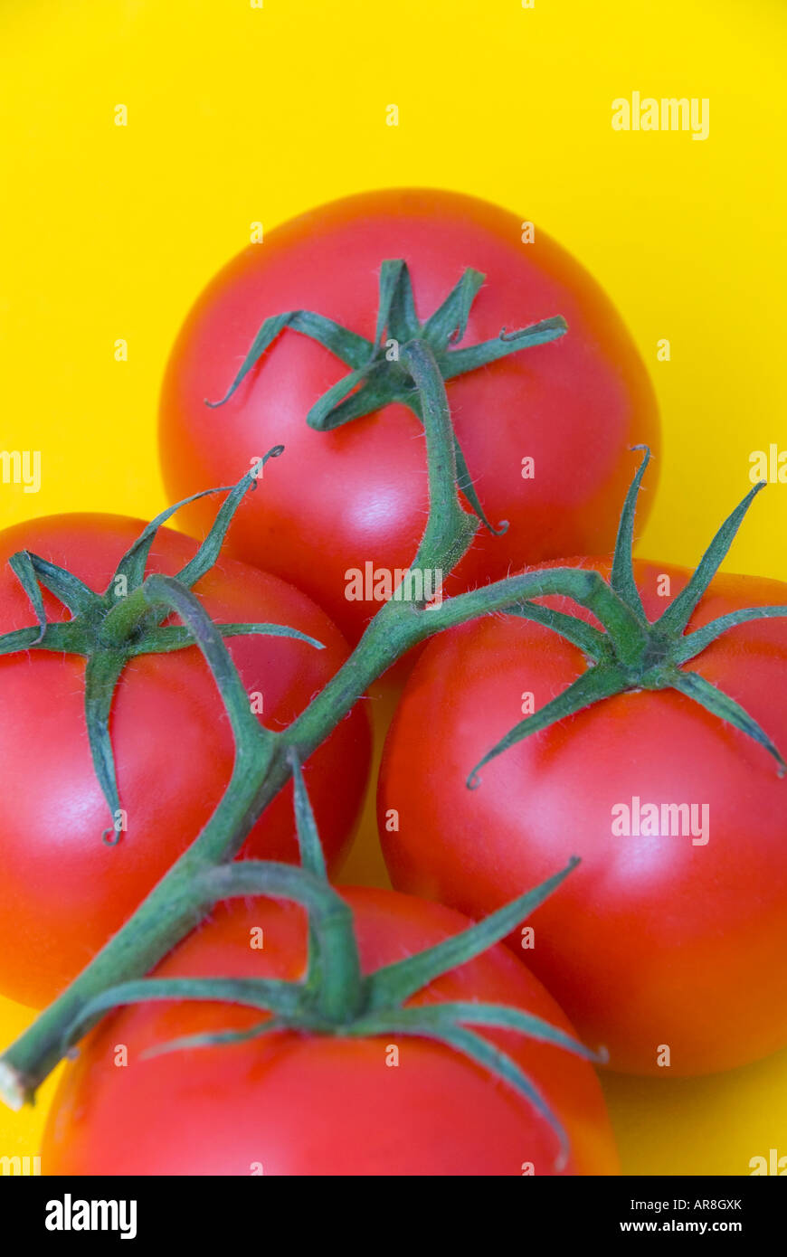 Ripe red truss tomatoes on yellow background Stock Photo - Alamy