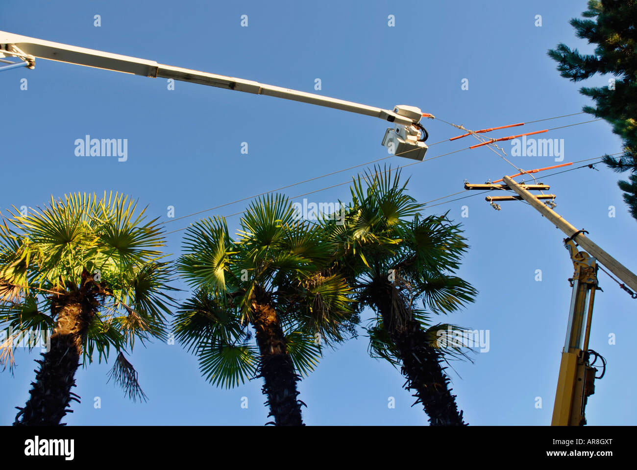Crane Lifts Near Power Lines at Clinton Long blog