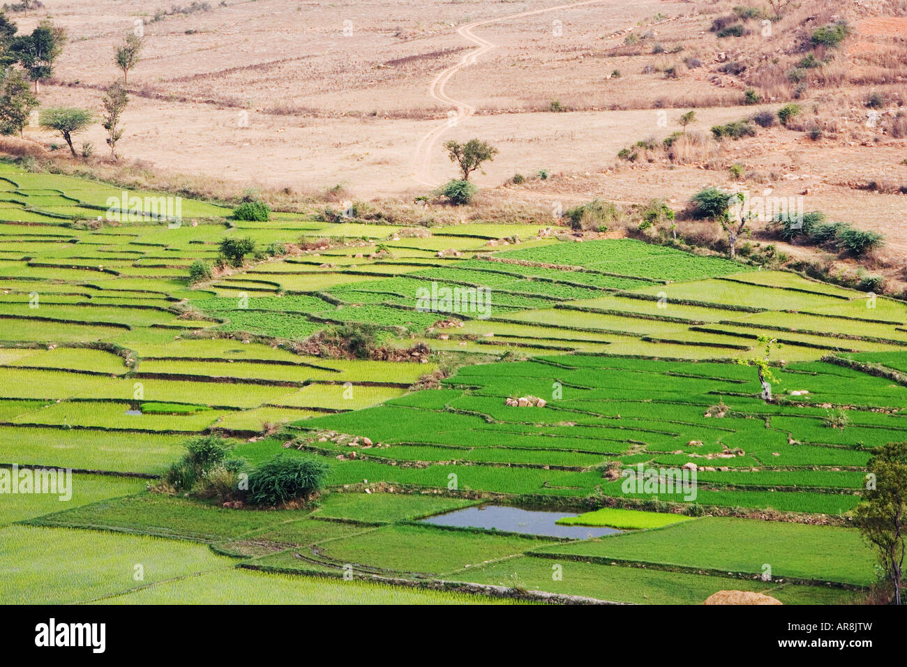 Indian contrast hi-res stock photography and images - Alamy