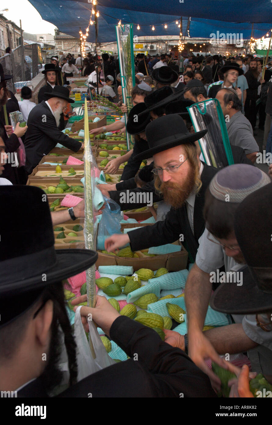 Israel Jerusalem Sukkot Jewish festival festival of booths 4 types ...
