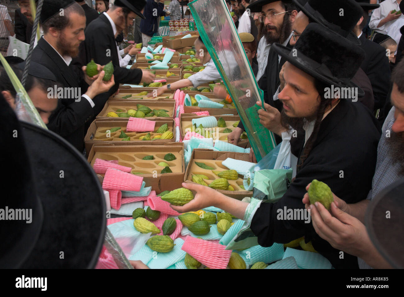 Israel Jerusalem Sukkot Jewish festival festival of booths 4 types ...