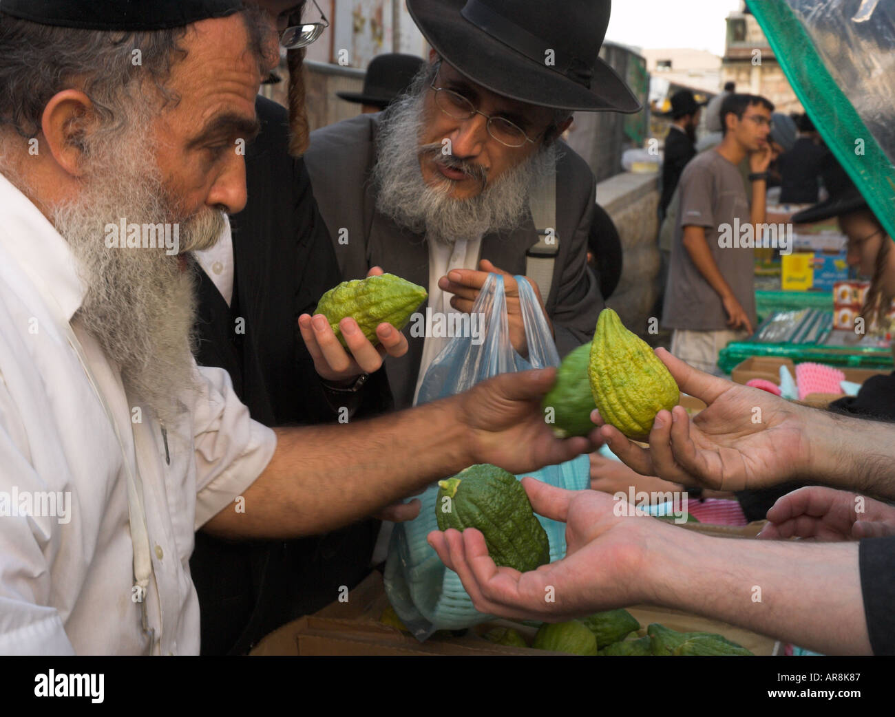 Israel Jerusalem Sukkot Jewish festival festival of booths 4 types ...