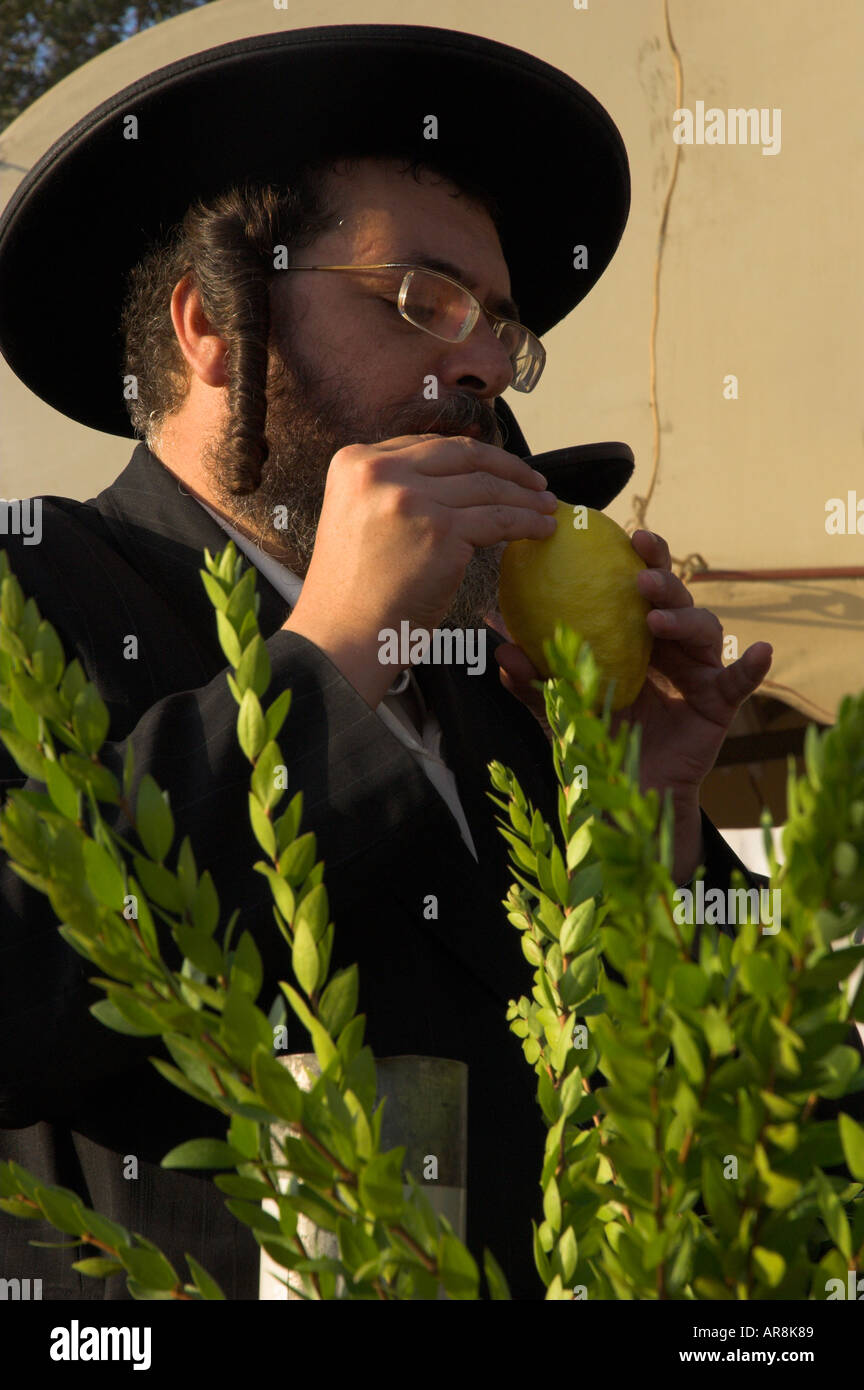 Israel Jerusalem Sukkot Jewish festival festival of booths 4 types ...