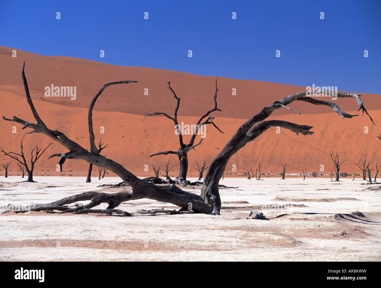 africa harsh environment Stock Photo - Alamy