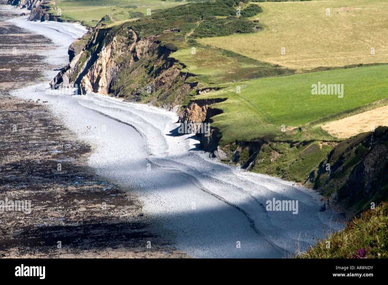 Greencliff Beach, cliff, footpath and fields, North Devon, (02), UK ...