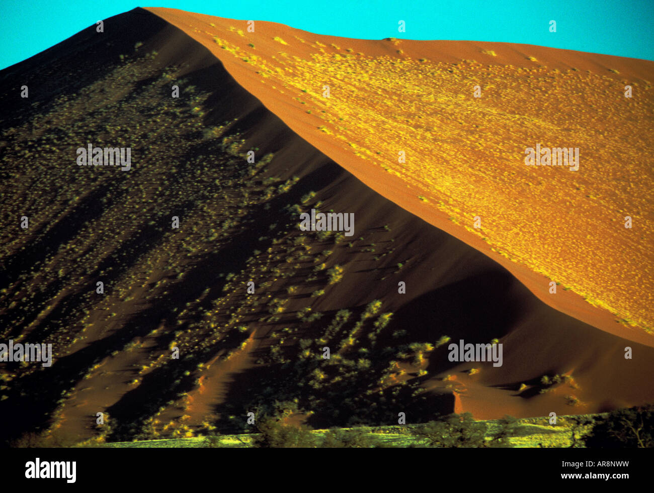 high colorful sand dunes in african landscape Stock Photo - Alamy