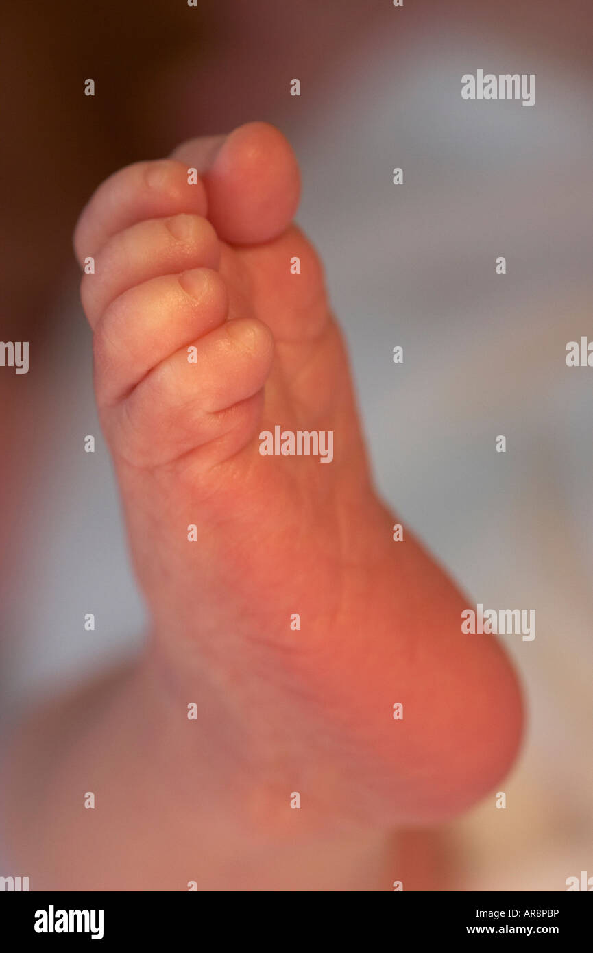 A newborn infant foot up close Stock Photo - Alamy