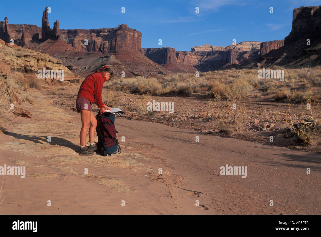 Female walker checking her map in Taylor Canyon Stock Photo - Alamy