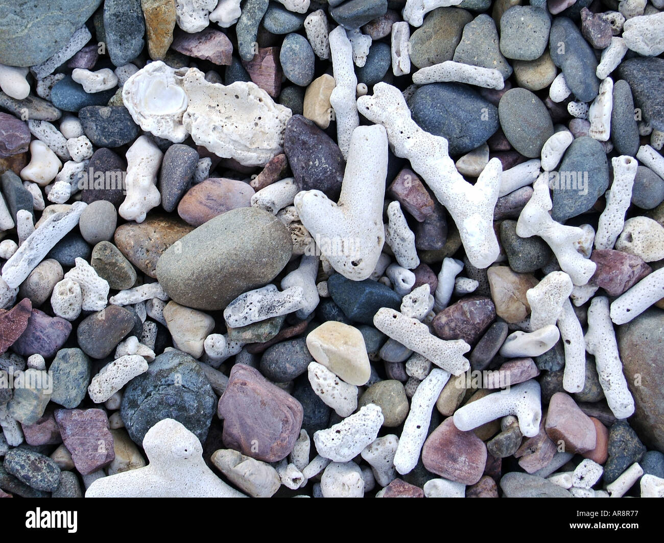 Coral beach ,The Whitsundays, Queensland, Australia Stock Photo - Alamy