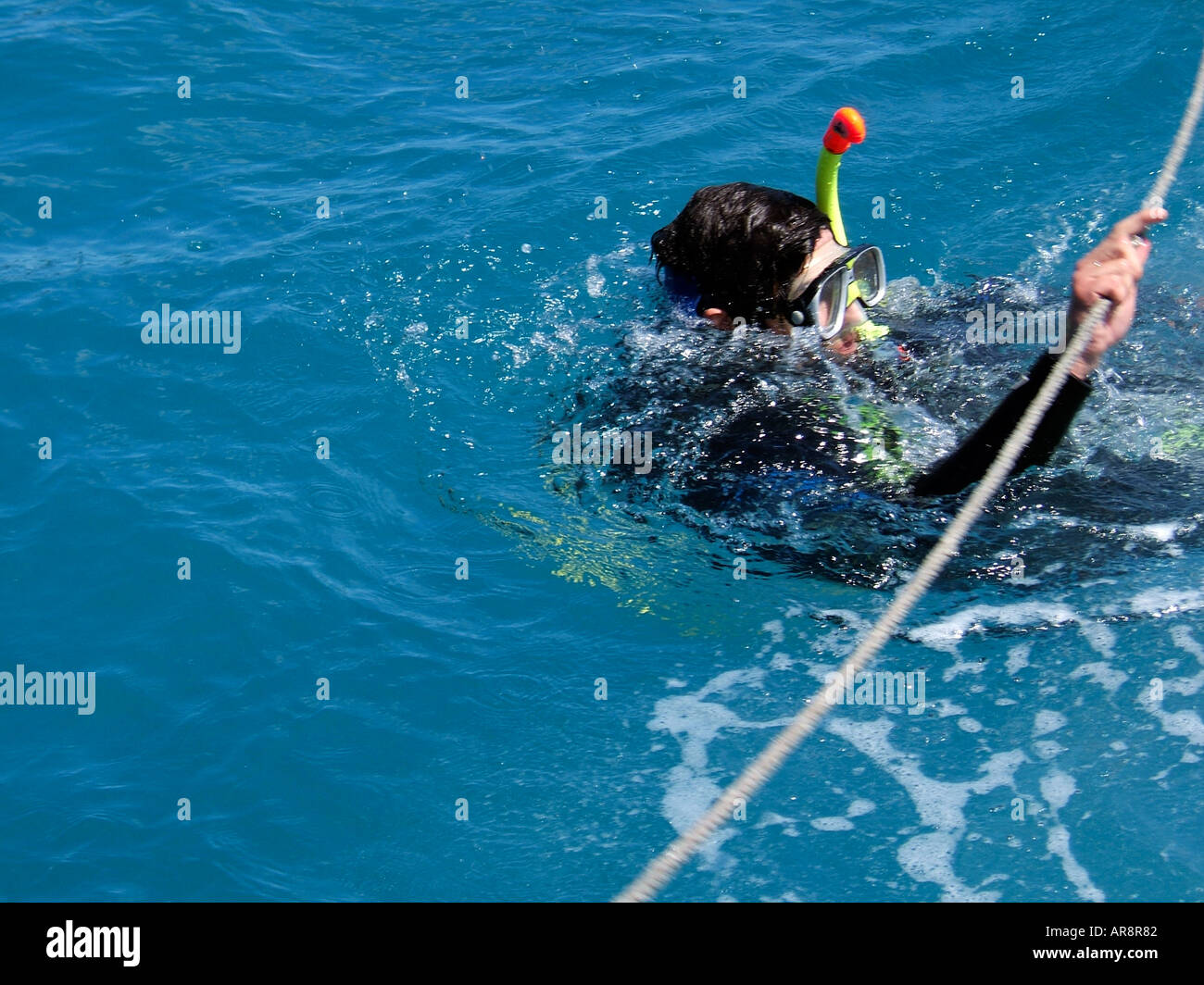 International diver hi-res stock photography and images - Alamy