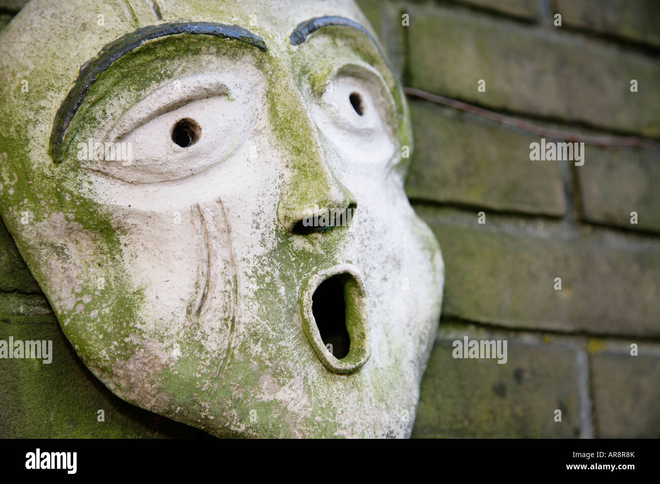 Garden scene. Close up of white clay mask with green algae hanging in ...