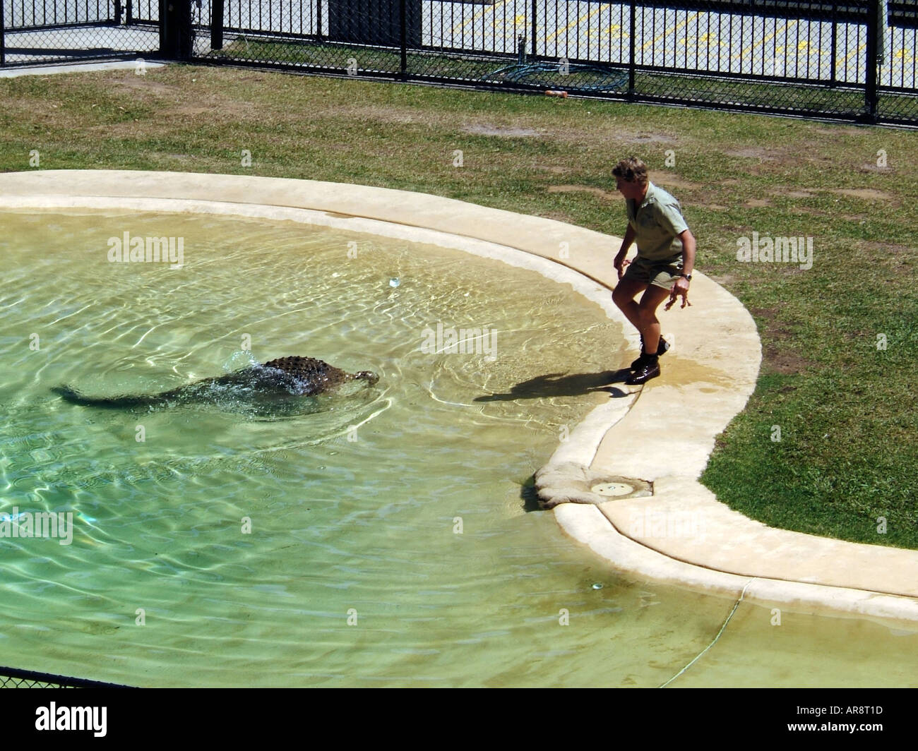 Steve irwin hi-res stock photography and images - Alamy