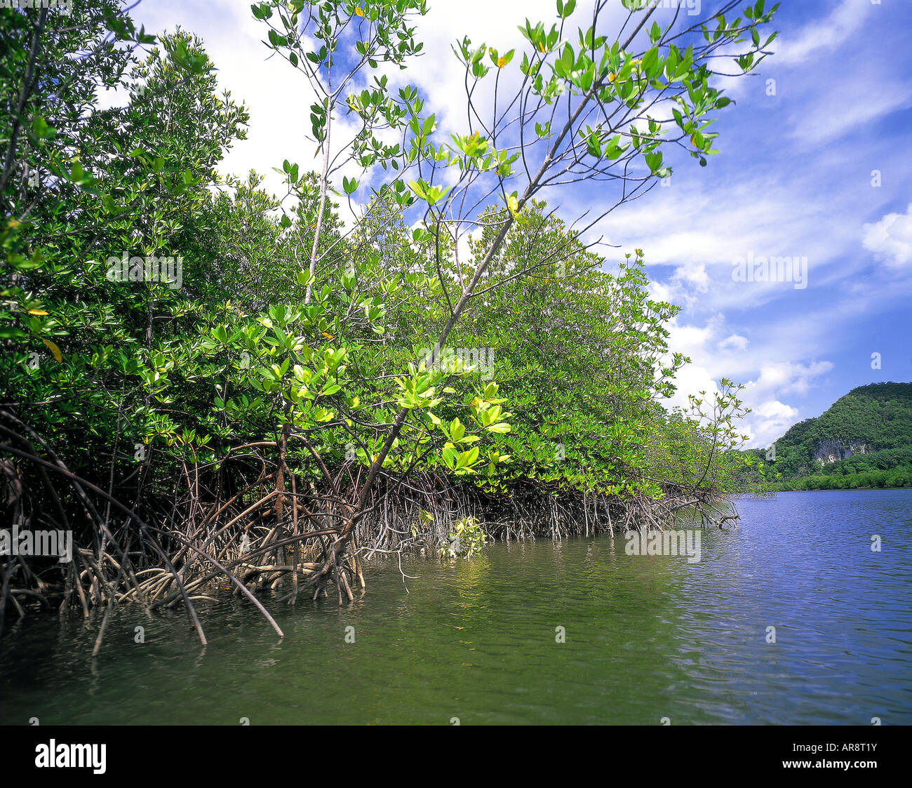 Shoreline stabilization hi-res stock photography and images - Alamy