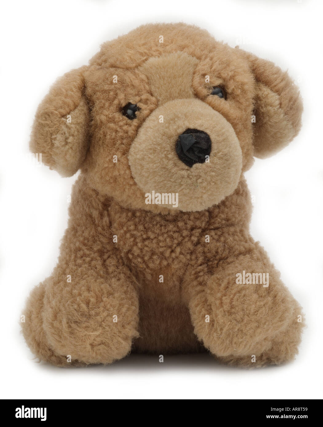 Dog cartoon hi-res stock photography and images - Alamy