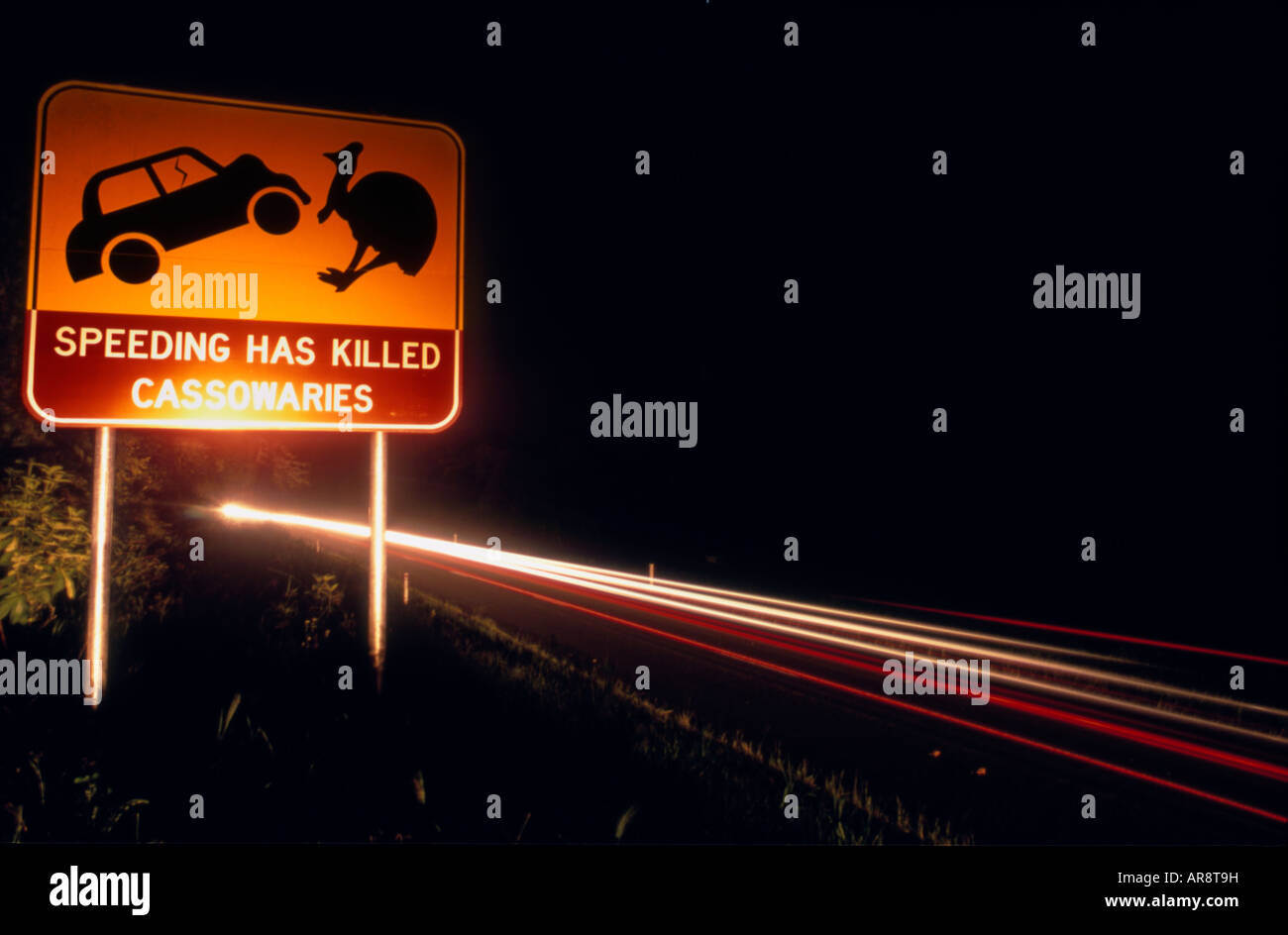 Beware of cassowary crossing road sign hi-res stock photography and ...